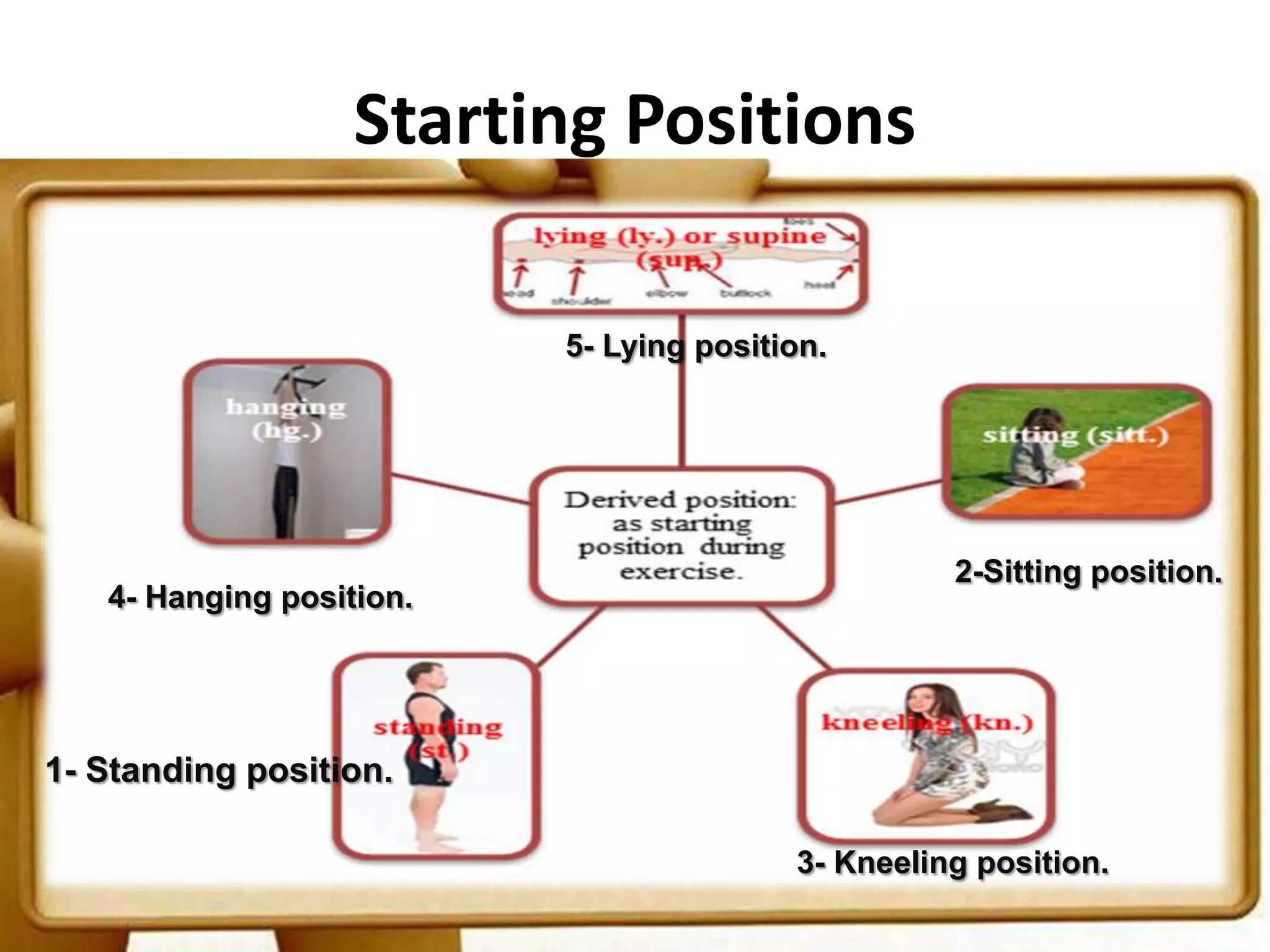 Use Of Fundamental & Derived Position. | PPTX | Physical Therapy | Wellness