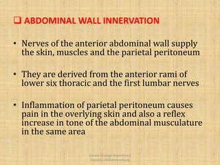 ABDOMINAL WALL ANATOMY | PPTX