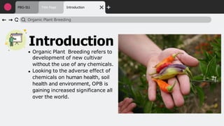 Organic Plant Breeding | PPTX