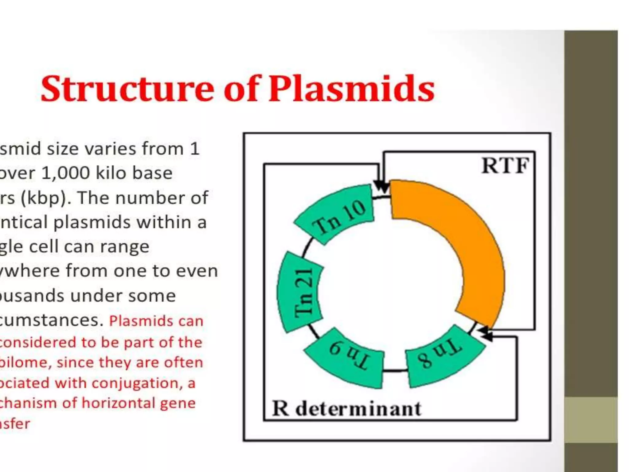 STRUCTURE AND ORGANISATION OF PLASMIDE AND EPISOMES | PPTX