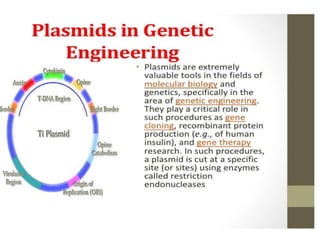 STRUCTURE AND ORGANISATION OF PLASMIDE AND EPISOMES | PPTX
