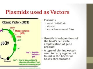 STRUCTURE AND ORGANISATION OF PLASMIDE AND EPISOMES | PPTX
