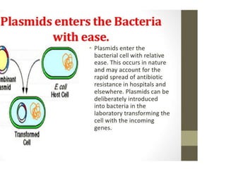 STRUCTURE AND ORGANISATION OF PLASMIDE AND EPISOMES | PPTX