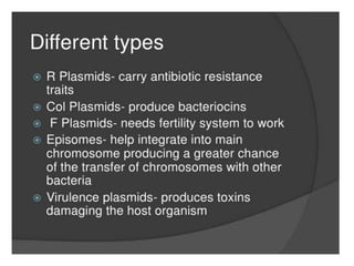 STRUCTURE AND ORGANISATION OF PLASMIDE AND EPISOMES | PPT