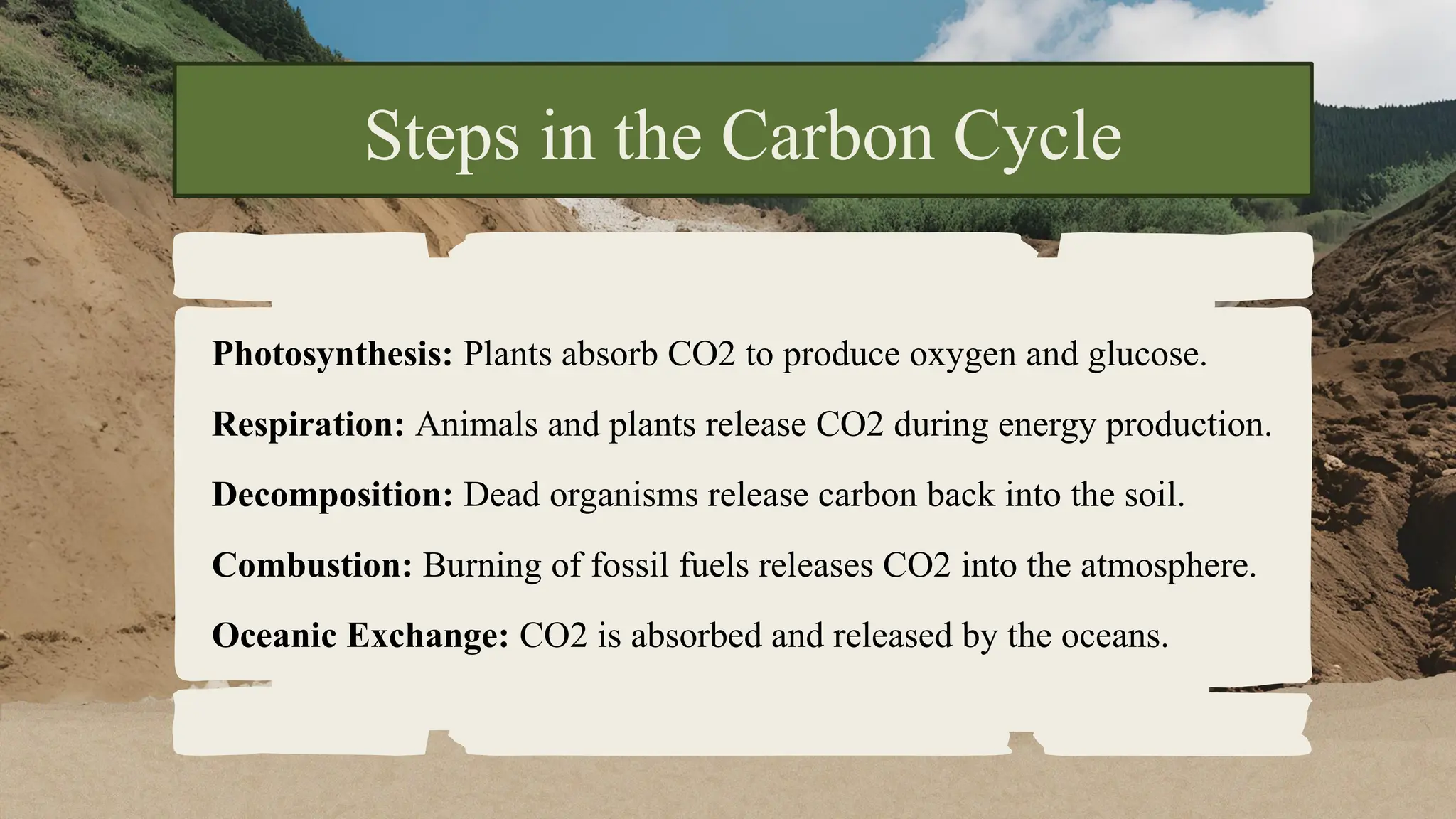 Carbon cycle presentation easily for presenat.pptx