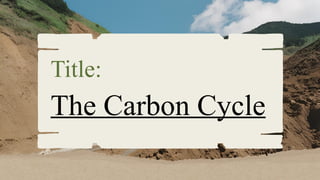 Carbon cycle presentation easily for presenat.pptx