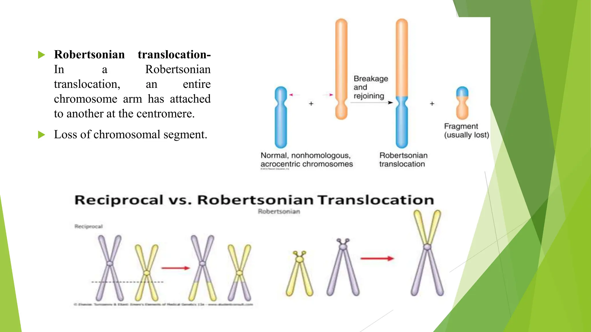 Structural and numerical variations in chromosomes and their ...