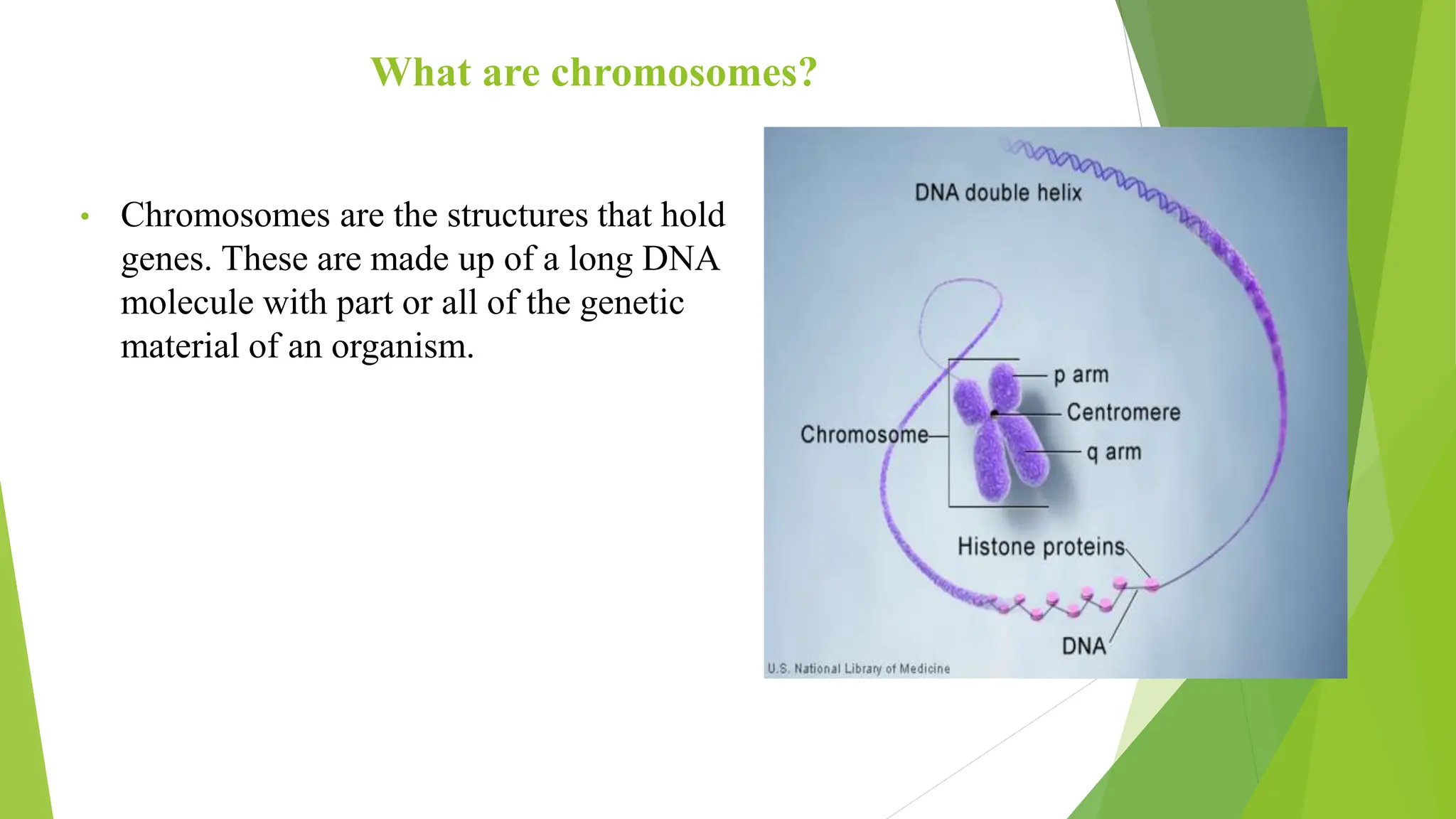 Structural and numerical variations in chromosomes and their ...