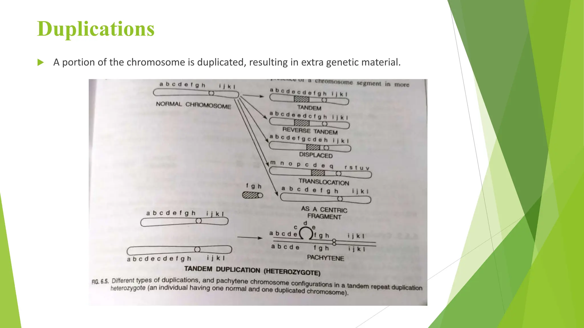 Structural and numerical variations in chromosomes and their ...