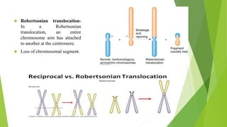 Structural and numerical variations in chromosomes and their ...