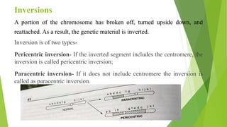 Structural and numerical variations in chromosomes and their ...