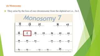 Structural and numerical variations in chromosomes and their ...
