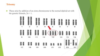 Structural and numerical variations in chromosomes and their ...