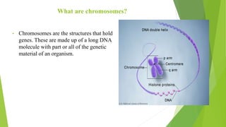 Structural and numerical variations in chromosomes and their ...