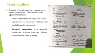 Structural and numerical variations in chromosomes and their ...