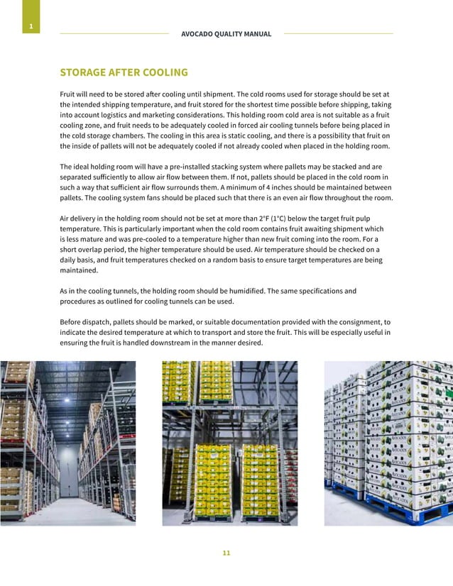 Avocado Quality Manual - Manual de calidad de aguacate hass - HAB | PDF ...