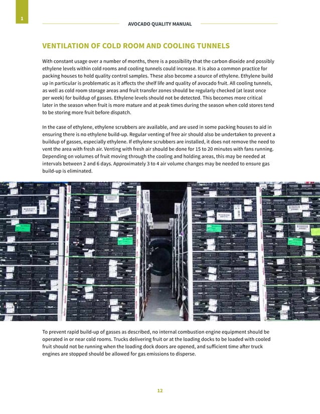 Avocado Quality Manual - Manual de calidad de aguacate hass - HAB | PDF ...