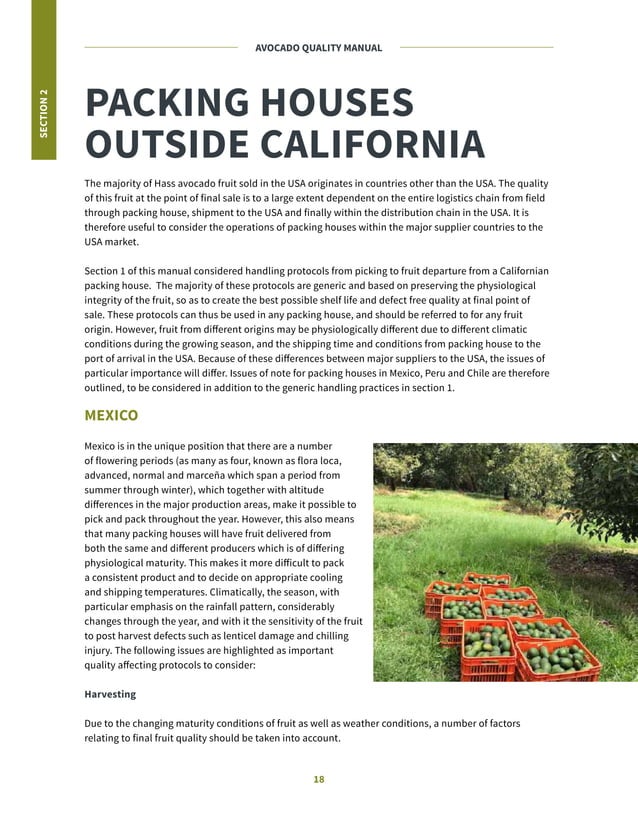 Avocado Quality Manual - Manual de calidad de aguacate hass - HAB | PDF ...