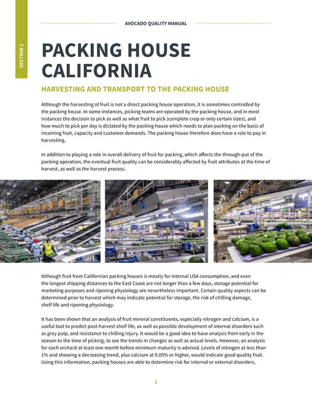 Avocado Quality Manual - Manual de calidad de aguacate hass - HAB | PDF ...