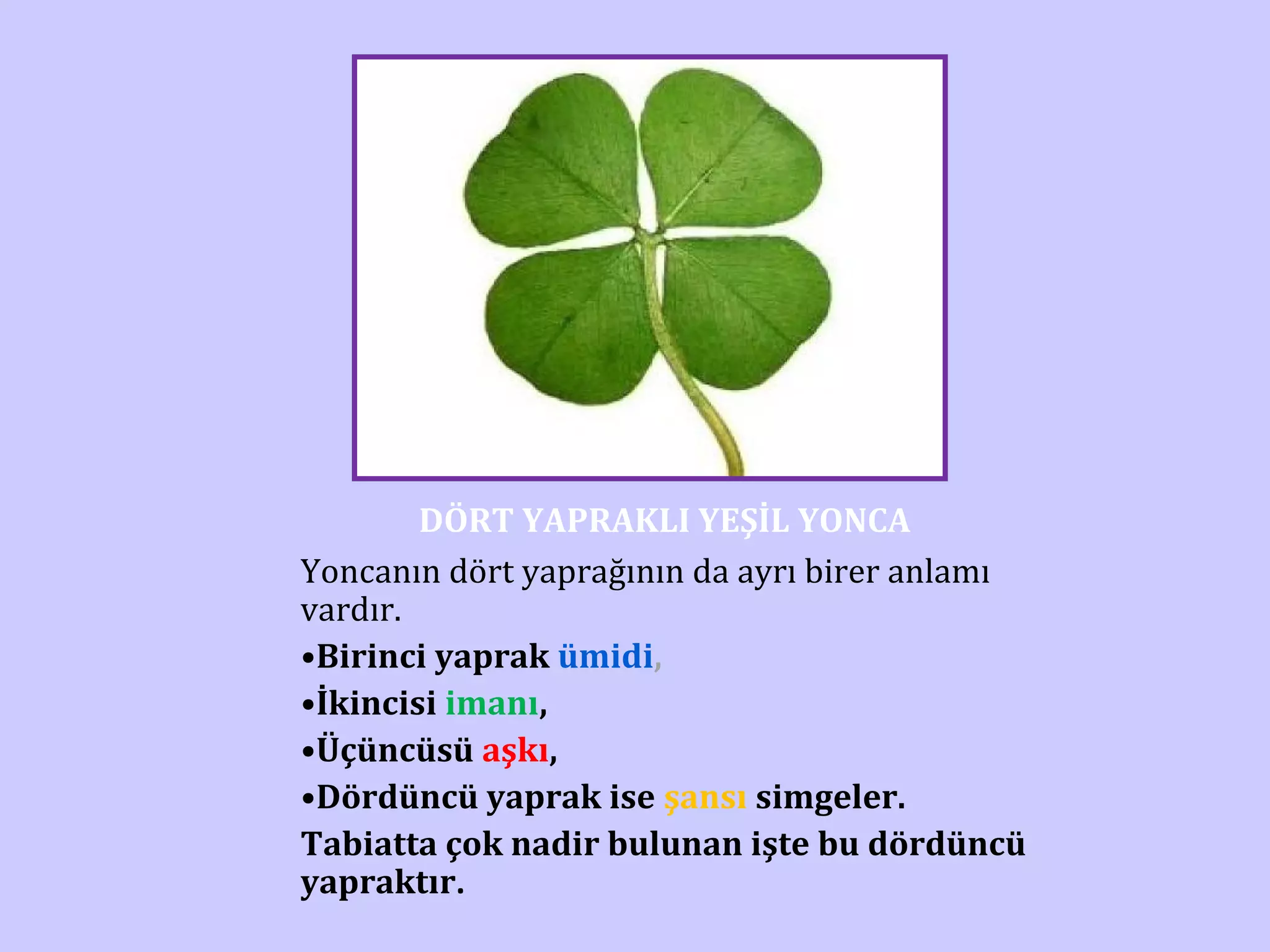 Hasta Dusme Riski Degerlendirme ve Hasta Kisitlama | PPT