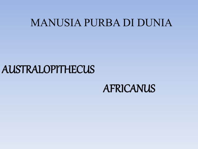 Manusia Purba Di Dunia ( Australopithecus Africanus, Robustus, Boisei ) | PPT