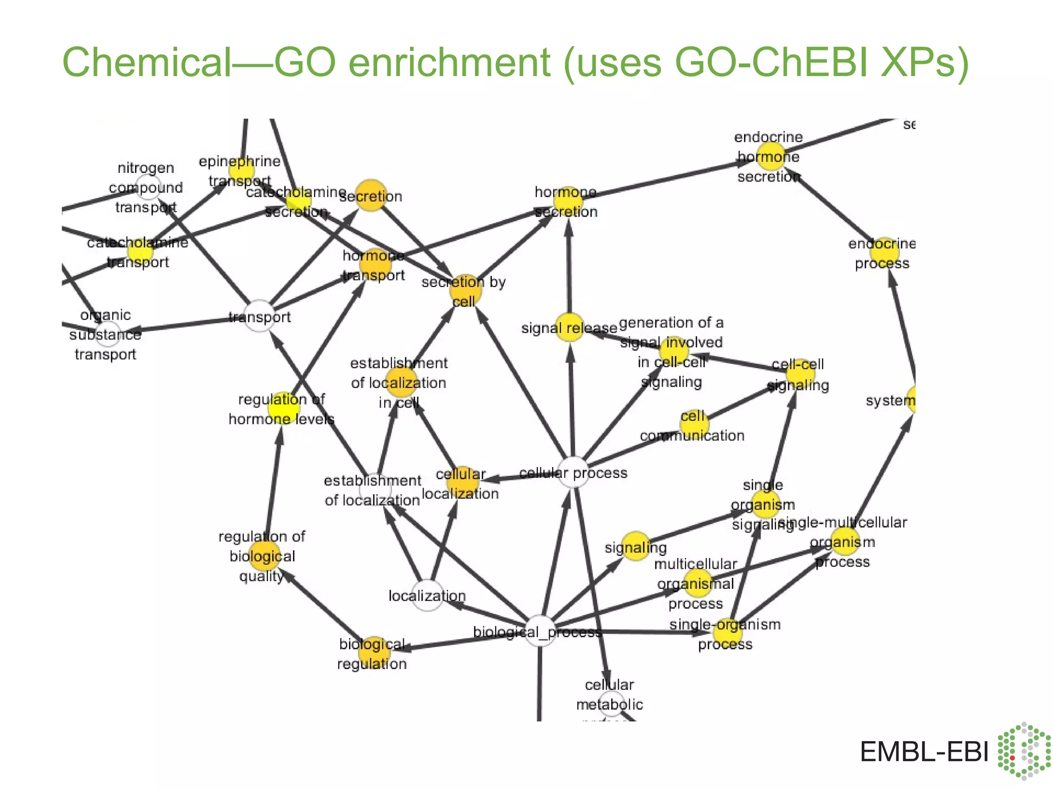 Using ChEBI to explore the underlying biology in metabolomics studies | PPT
