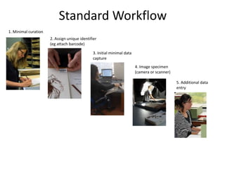 Incorporating OCR into a digitisation and curation workflow | PPT