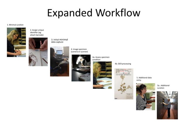 Incorporating OCR into a digitisation and curation workflow | PPT