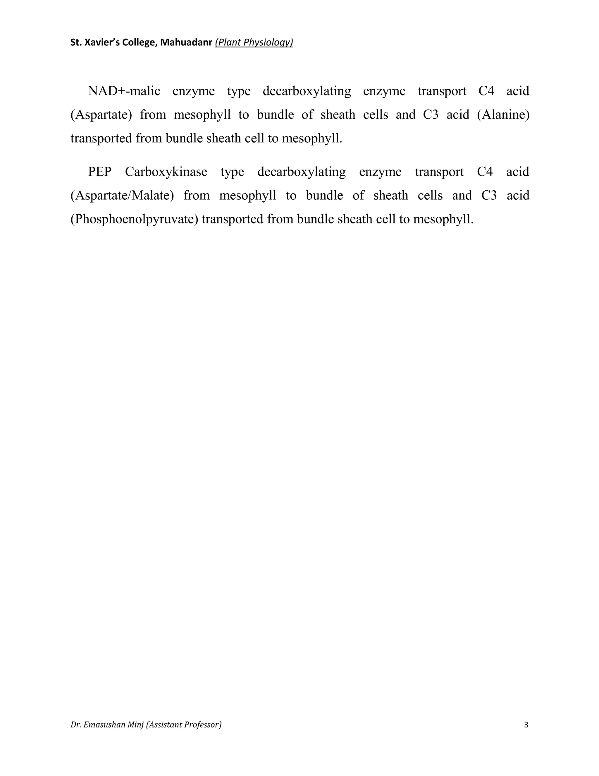 Hatch-Slack Pathway (C4 Cycle) | PDF