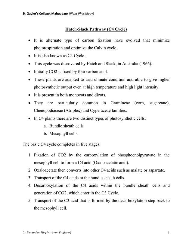 Hatch-Slack Pathway (C4 Cycle) | PDF | Chemistry | Science