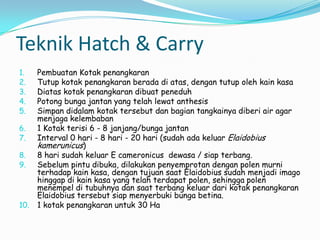 Hatch & carry | PPTX