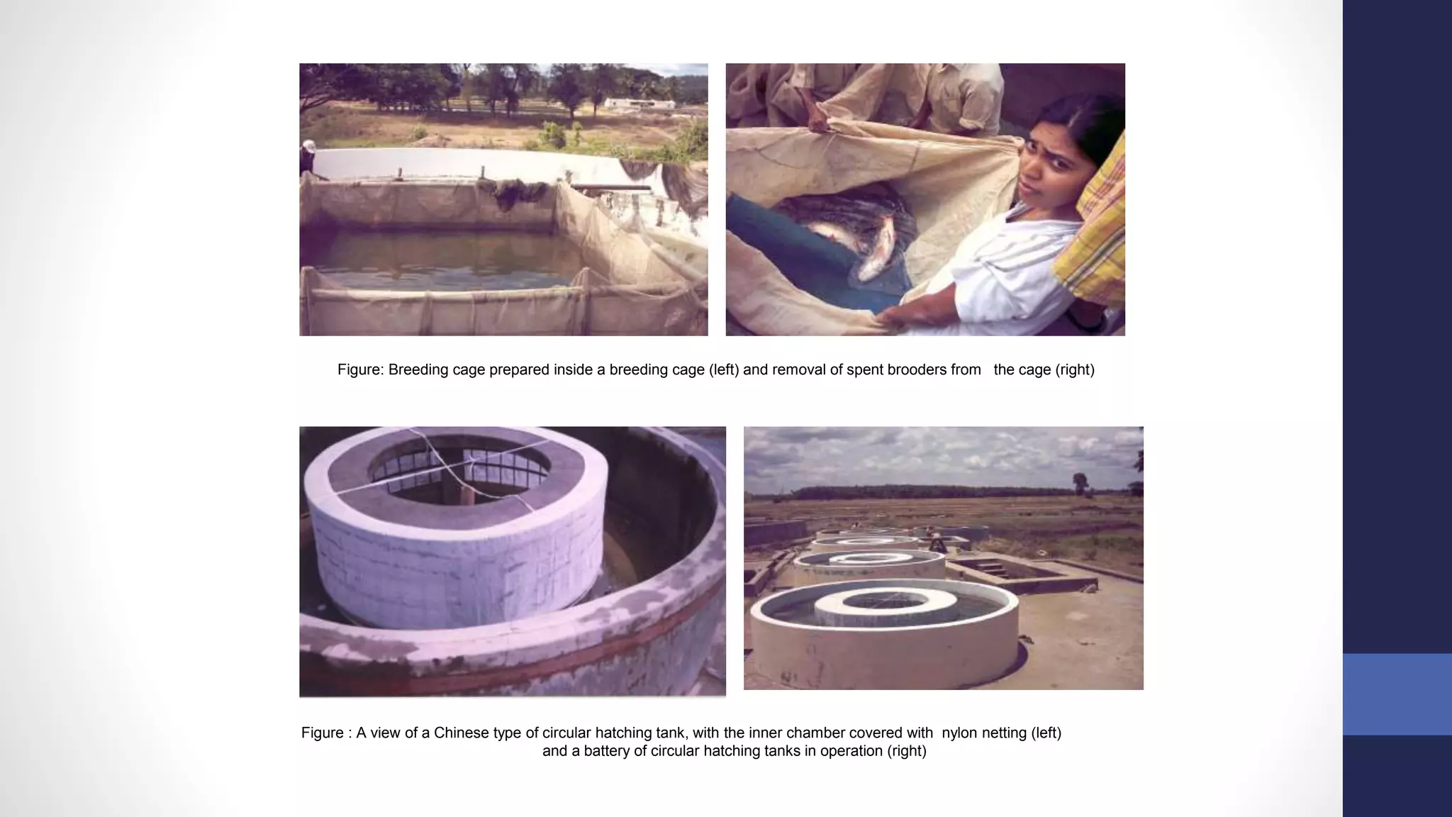 Hatcheries advances in design and construction | PPTX