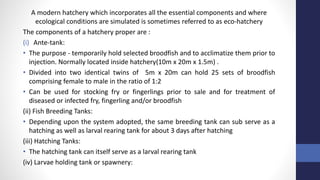 Hatcheries advances in design and construction | PPTX