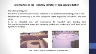Hatcheries advances in design and construction | PPTX