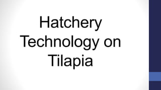 Hatcheries advances in design and construction | PPTX