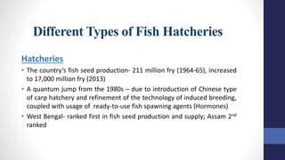 Hatcheries advances in design and construction | PPTX