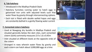 Hatcheries advances in design and construction | PPTX