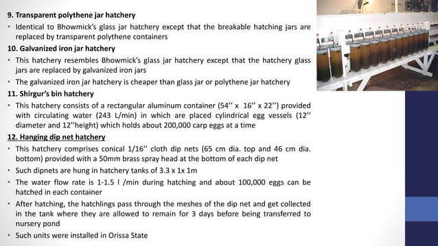 Hatcheries advances in design and construction | PPTX | Agriculture ...