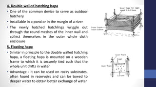 Hatcheries advances in design and construction | PPT