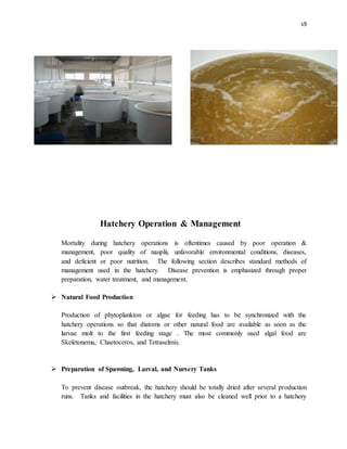 Hatchery | DOCX