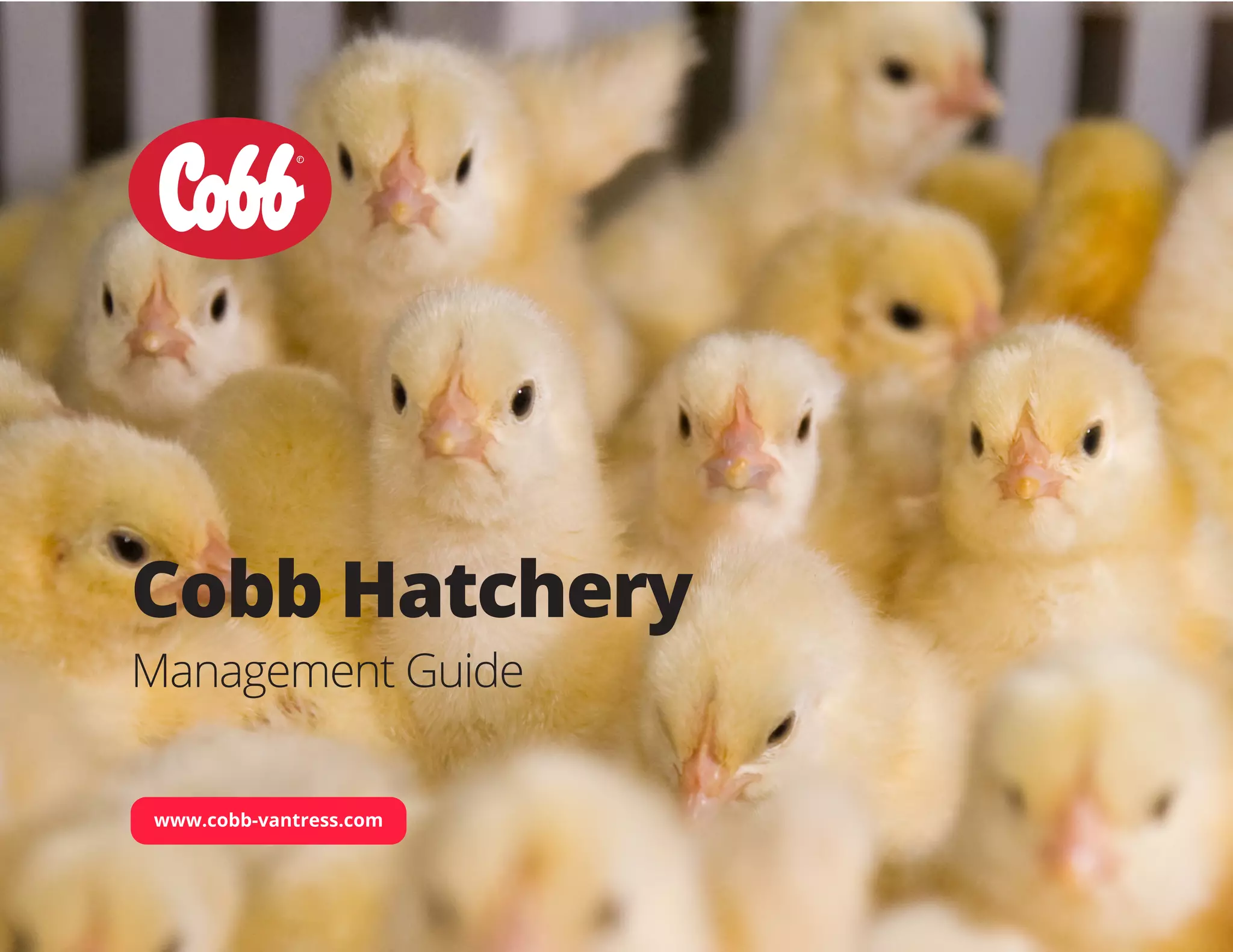 Hatchery guide cobb poultry | PDF