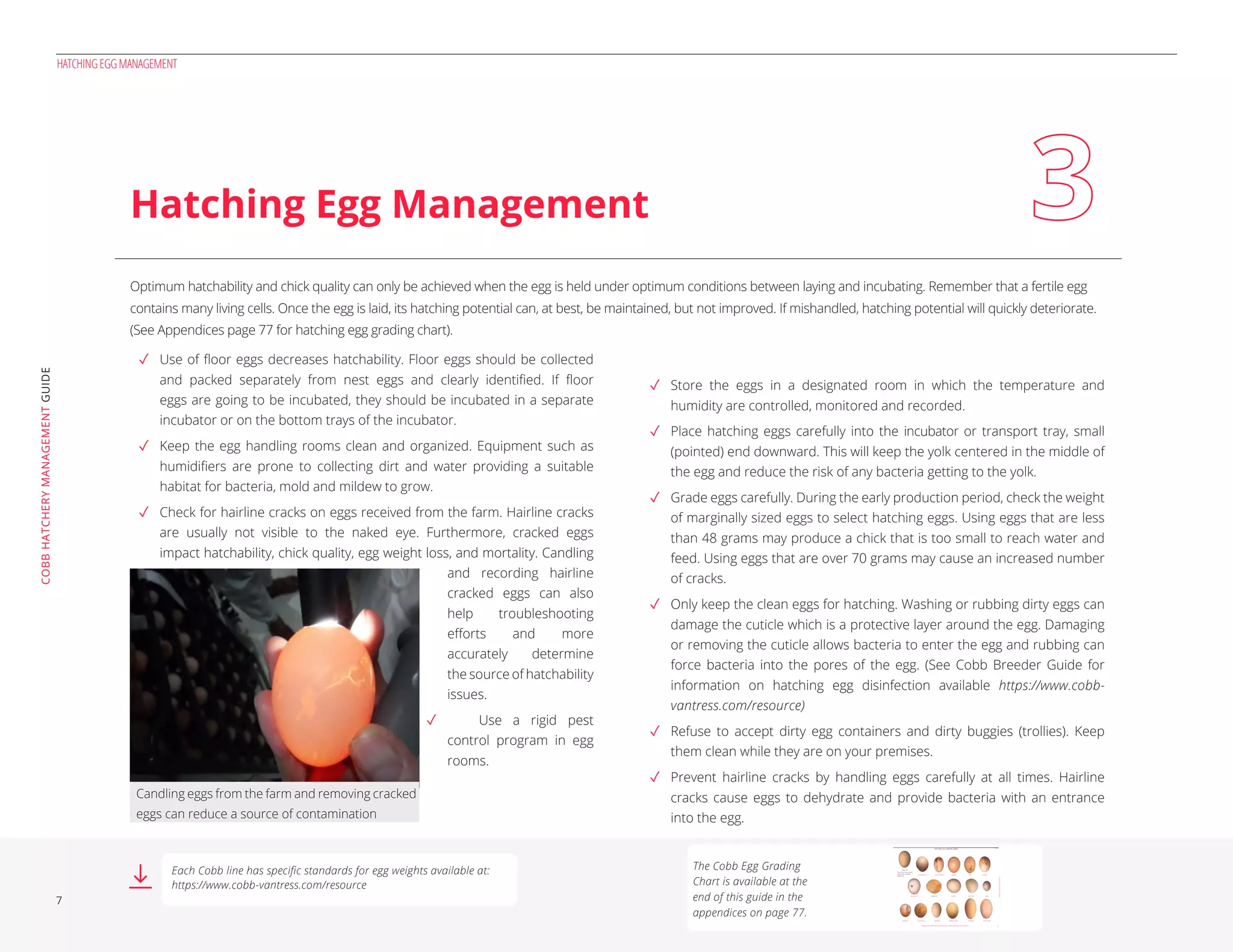 Hatchery guide cobb poultry | PDF | Infertility | Reproductive Health
