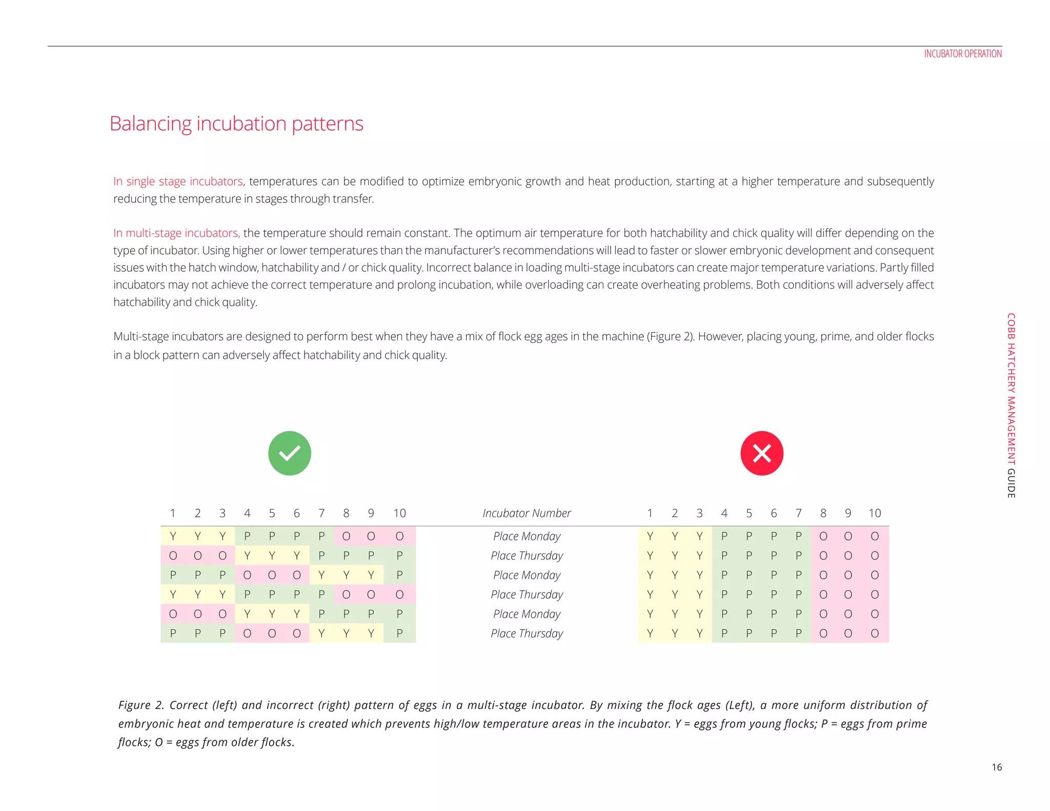 Hatchery guide cobb poultry | PDF | Infertility | Reproductive Health