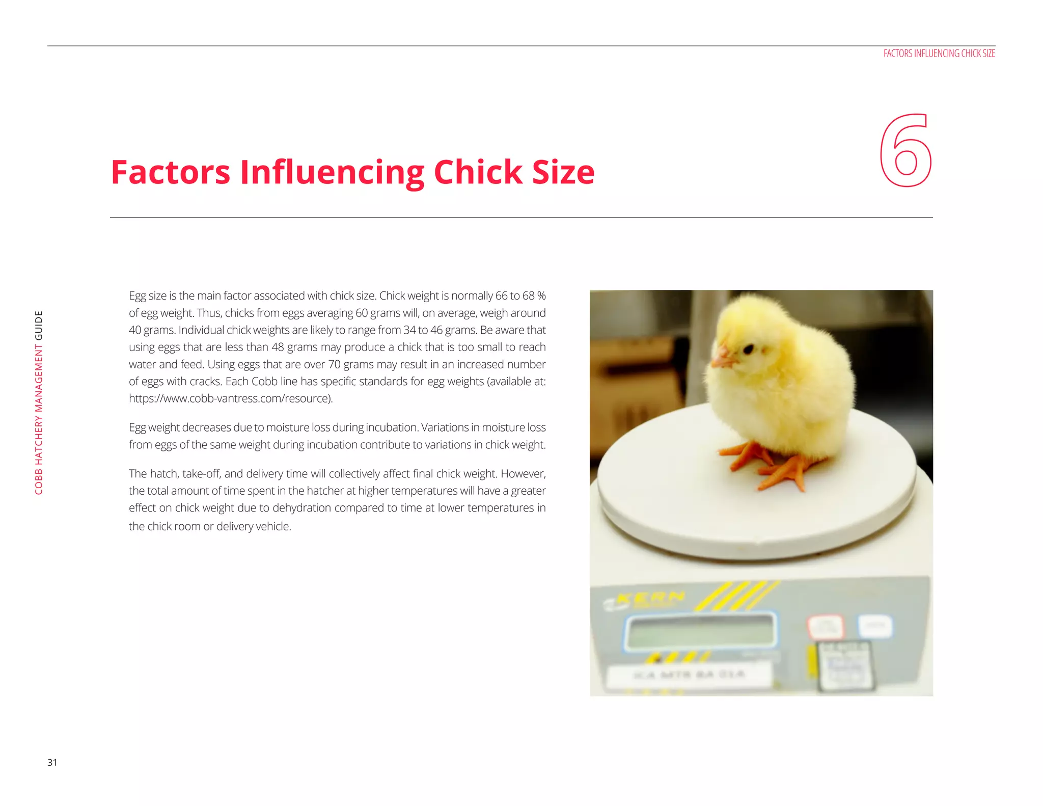 Hatchery guide cobb poultry | PDF | Infertility | Reproductive Health