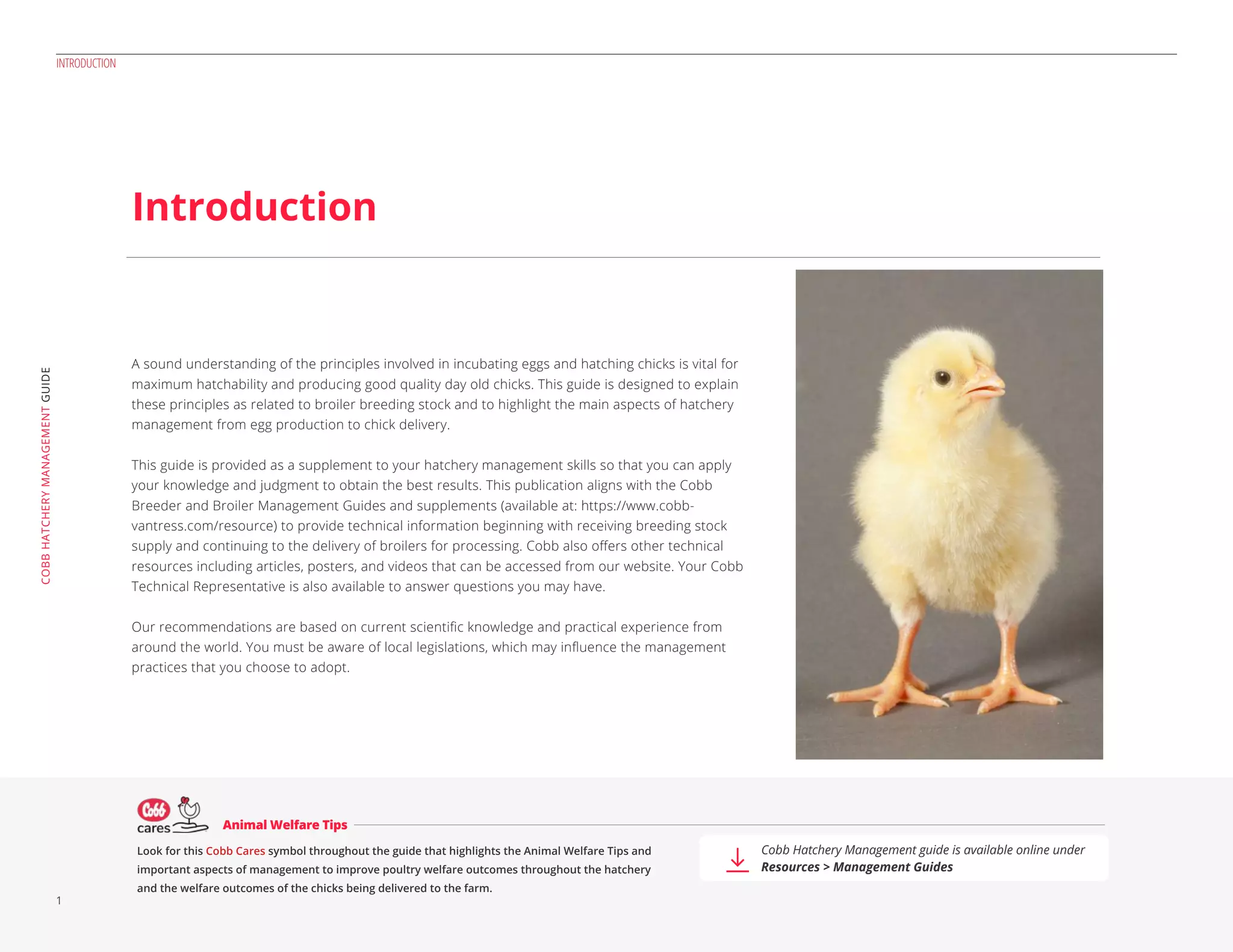 Hatchery guide cobb poultry | PDF