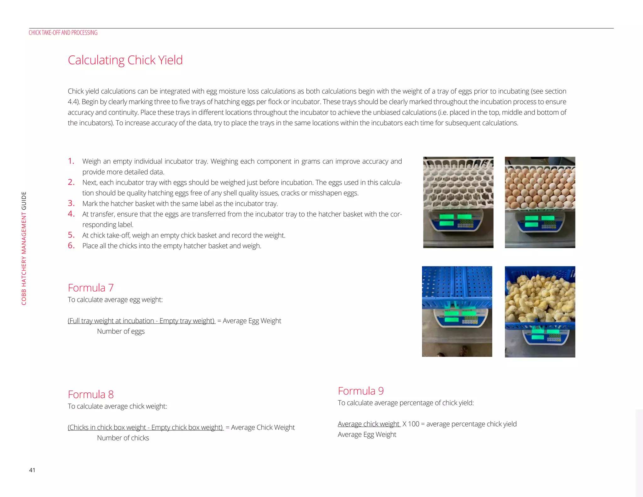 Hatchery guide cobb poultry | PDF | Infertility | Reproductive Health