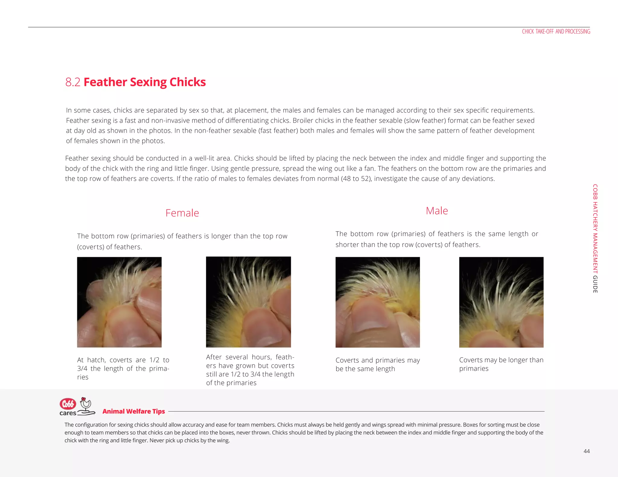 Hatchery guide cobb poultry | PDF
