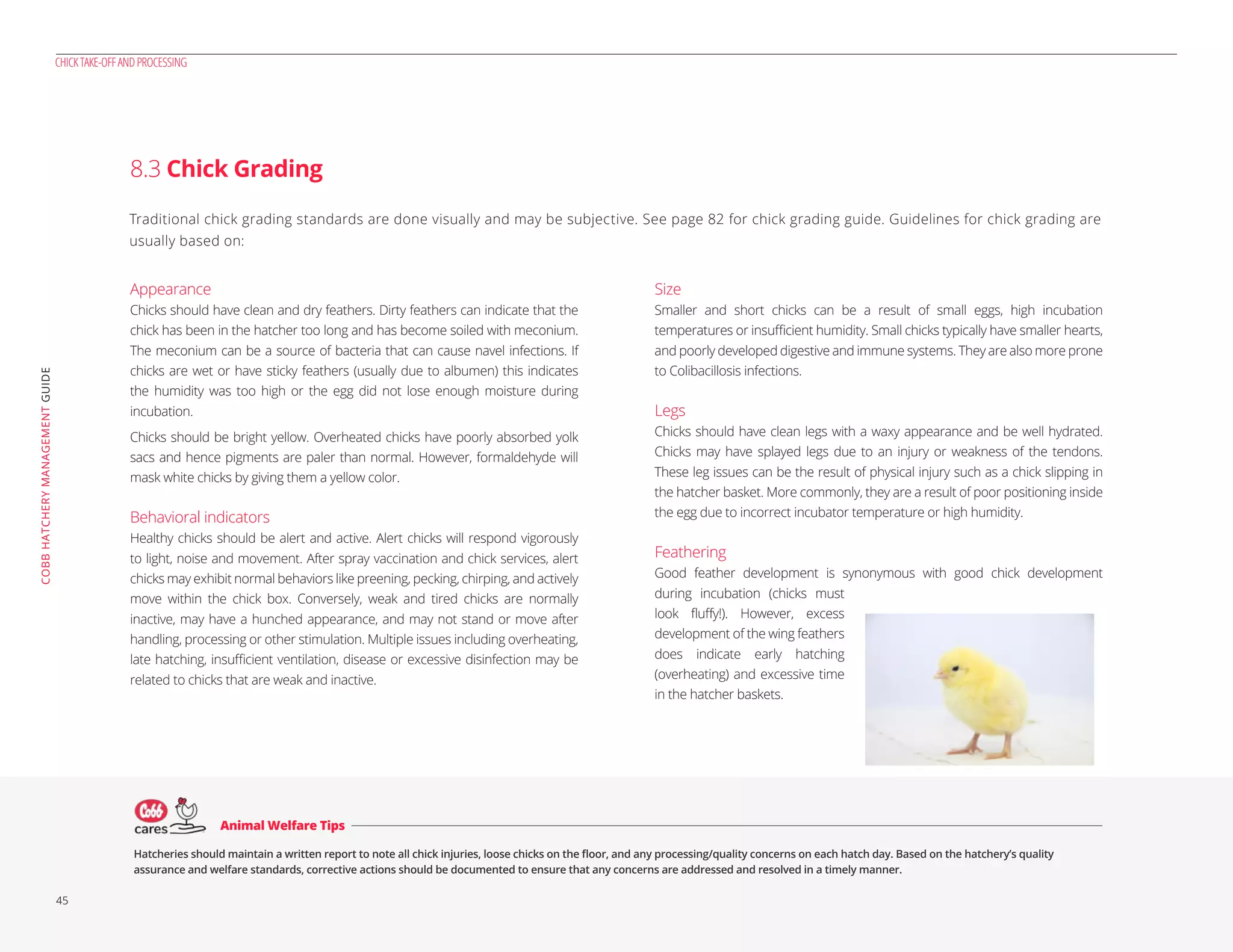 Hatchery guide cobb poultry | PDF | Infertility | Reproductive Health