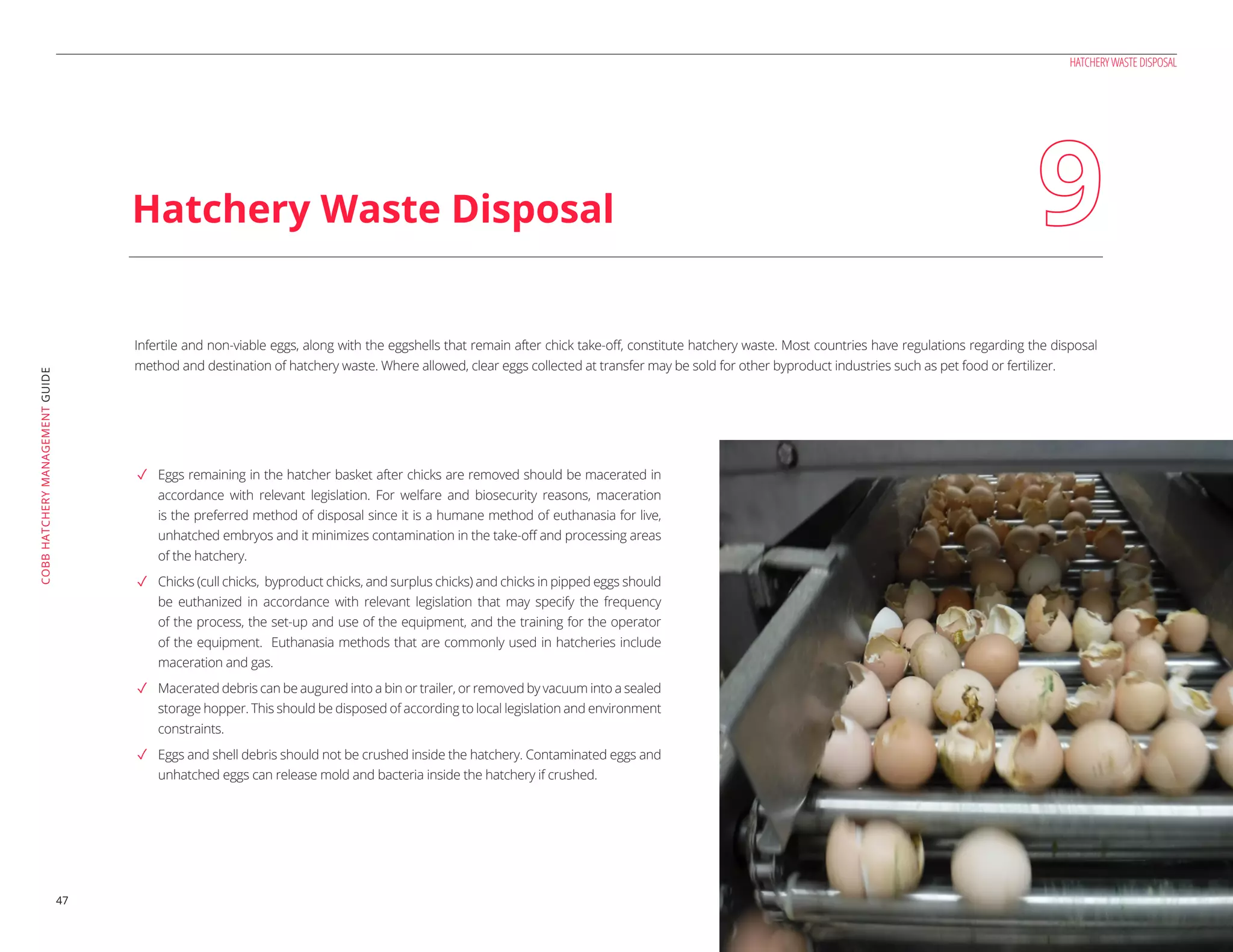Hatchery guide cobb poultry | PDF