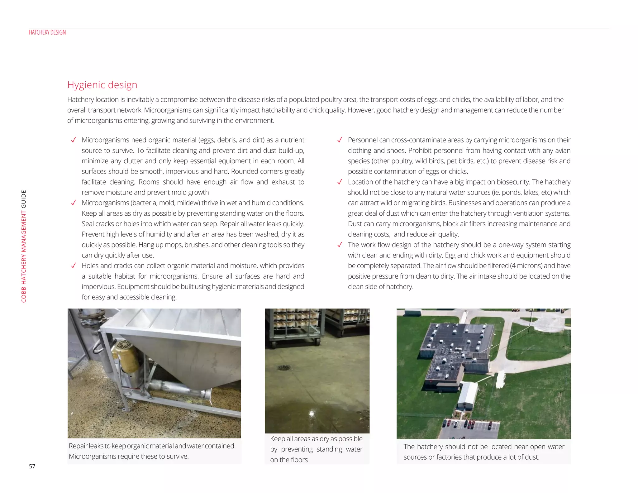 Hatchery guide cobb poultry | PDF